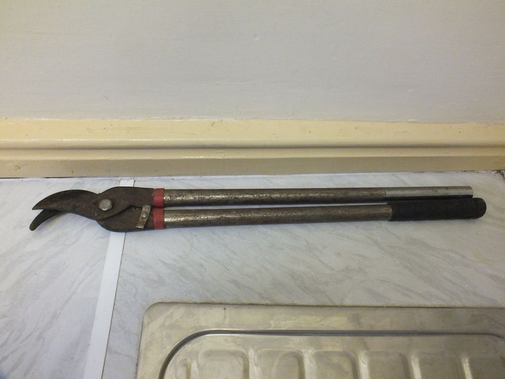 Buy Nowt: long secateurs (LOT677)